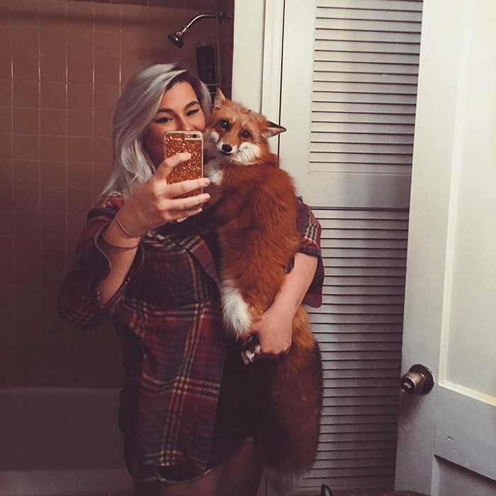 Meet Juniper, The Adorable Pet Fox That Can’t Stop Smiling…. Cutest ...