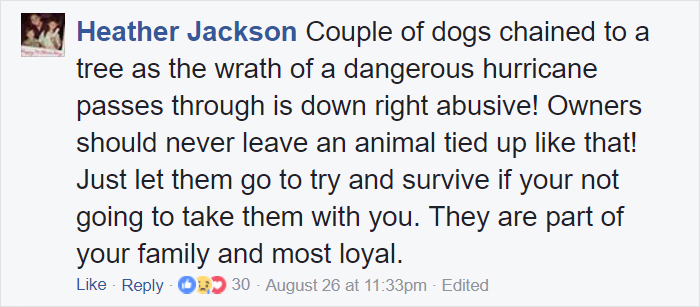 Heart-Wrenching Pictures of Dogs Being Left Behind As Owners Flee Texas ...
